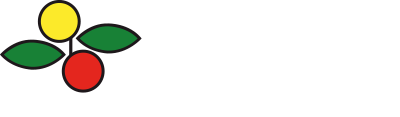 Homepage – Bruno srl