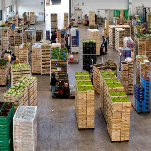 Homepage – Bruno srl