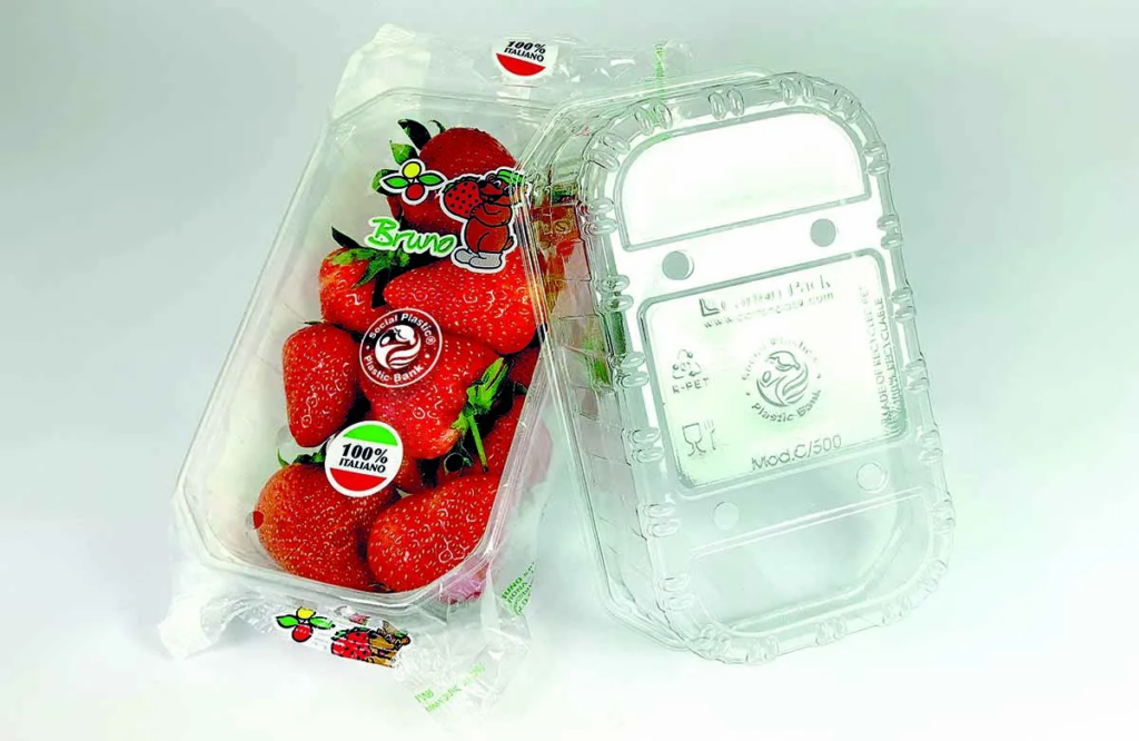 Homepage – Bruno srl